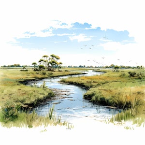 Everglades National Park Watercolor Sketch Art Bundle, Everglades ...