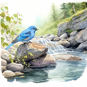 Bluebird Watercolor Clipart Bundle, Cute Colorful Bluebird Set, Nursery ...