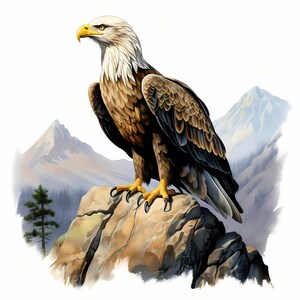 Eagle Watercolor Clipart Bundle, Cute Colorful Eagle Set, Nursery Decor ...