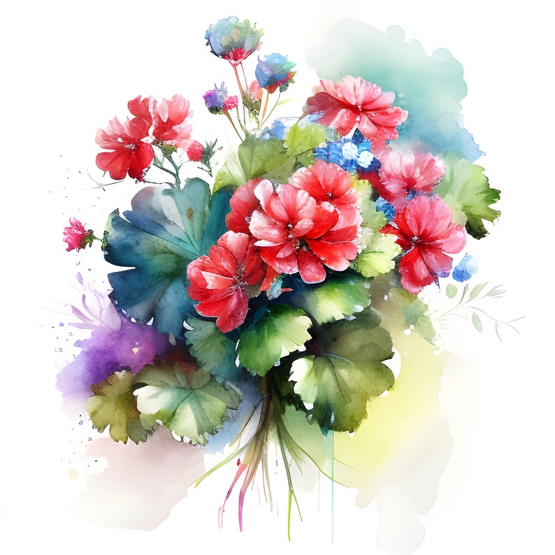 Geranium Watercolor Clipart Watercolor Floral Clipart - Etsy