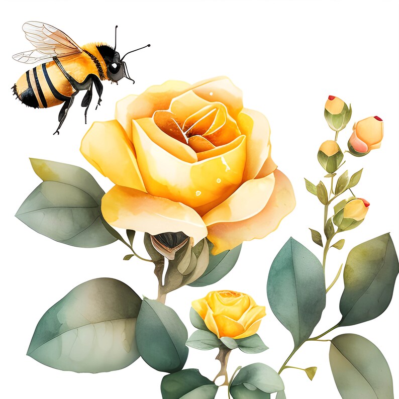 Yellow Rose & Honey Bee Watercolor Clipart Watercolor Floral - Etsy