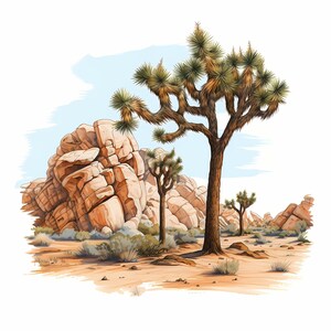 Joshua Tree National Park Watercolor Sketch Art Bundle, Joshua Tree ...