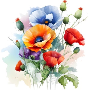 Watercolor Poppy Clipart, Watercolor Floral Set, Poppy Clipart, Orange ...