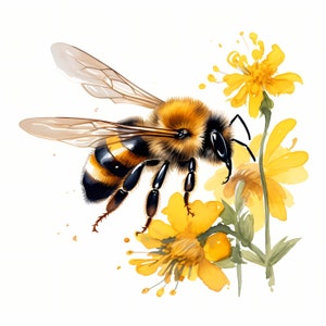 Watercolor Bumblebee Clipart, Garden Honey Bee Color Sketch, Nursery ...