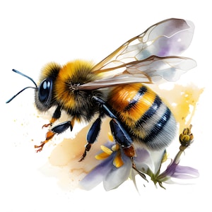 Watercolor Bumblebee Clipart, Cute Garden Honey Bee Clipart, Nursery ...