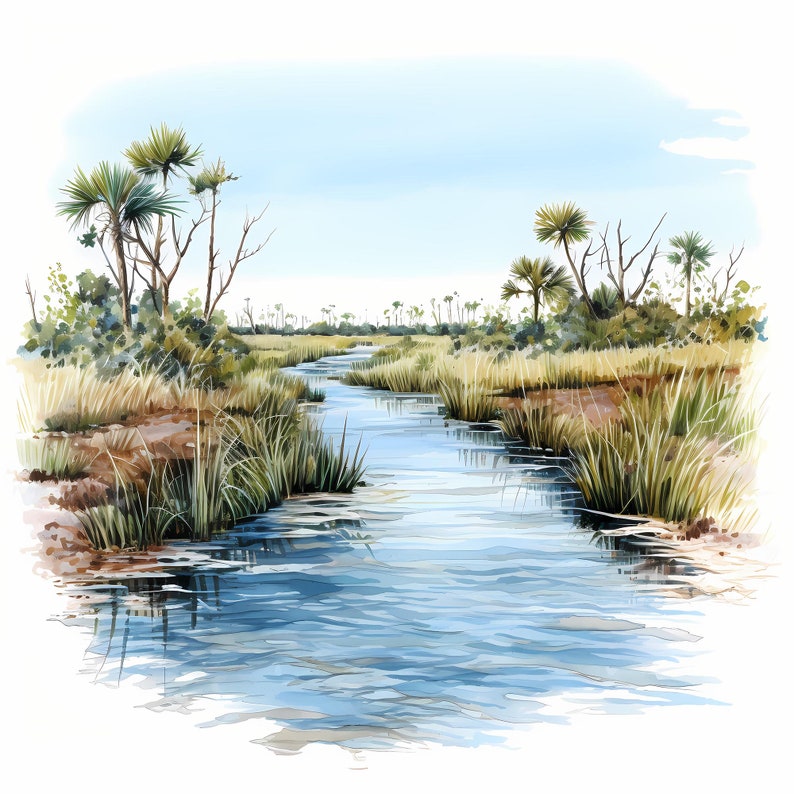 Everglades National Park Watercolor Sketch Art Bundle, Everglades ...