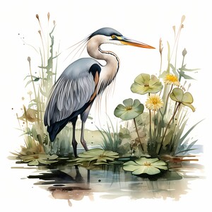 Heron Watercolor Clipart Bundle, Cute Colorful Heron Set, Nursery Decor ...