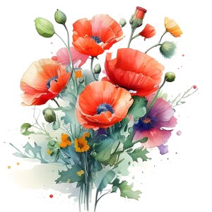 Watercolor Poppy Clipart, Watercolor Floral Set, Poppy Clipart, Orange ...