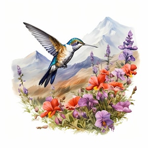 Hummingbird Watercolor Clipart Bundle, Cute Colorful Hummingbird Set ...