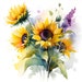 Sunflower Bouquet Watercolor Clipart, Watercolor Floral Clipart ...