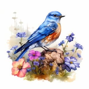 Bluebird Watercolor Clipart Bundle, Cute Colorful Bluebird Set, Nursery ...