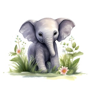 Cute Baby Elephant Watercolor Clipart, Baby Boy Elephant Illustration ...