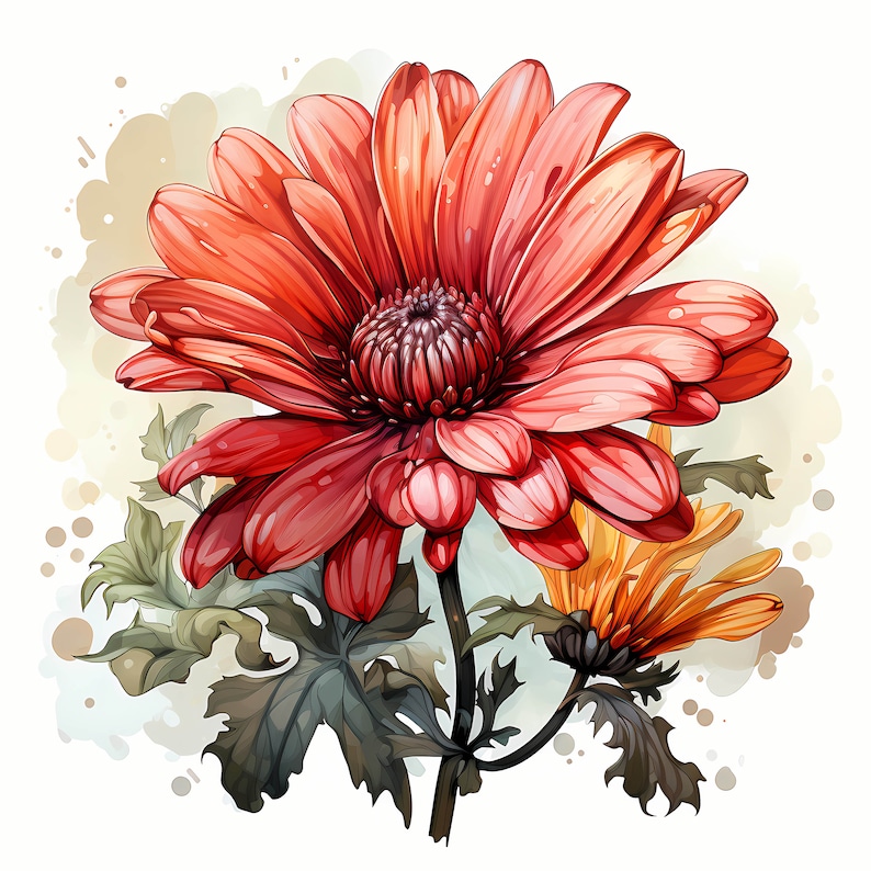 Colorful Daisy Watercolor Clipart, Floral Daisy Clipart, Colorful ...