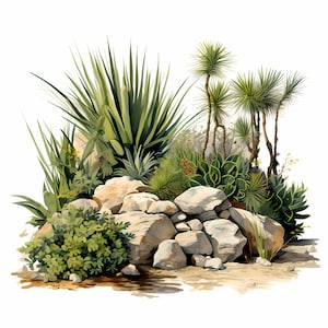 California Native Plants Clipart Bundle, Floral Colorful Sketch Clipart ...