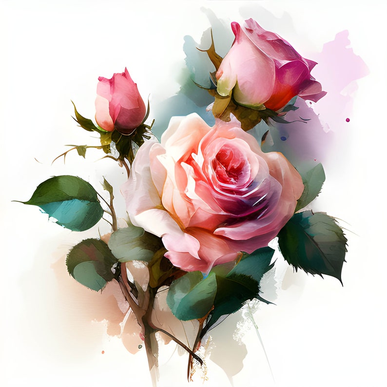 Pink Rose Watercolor Clipart, Watercolor Floral Clipart, Pink Rose ...