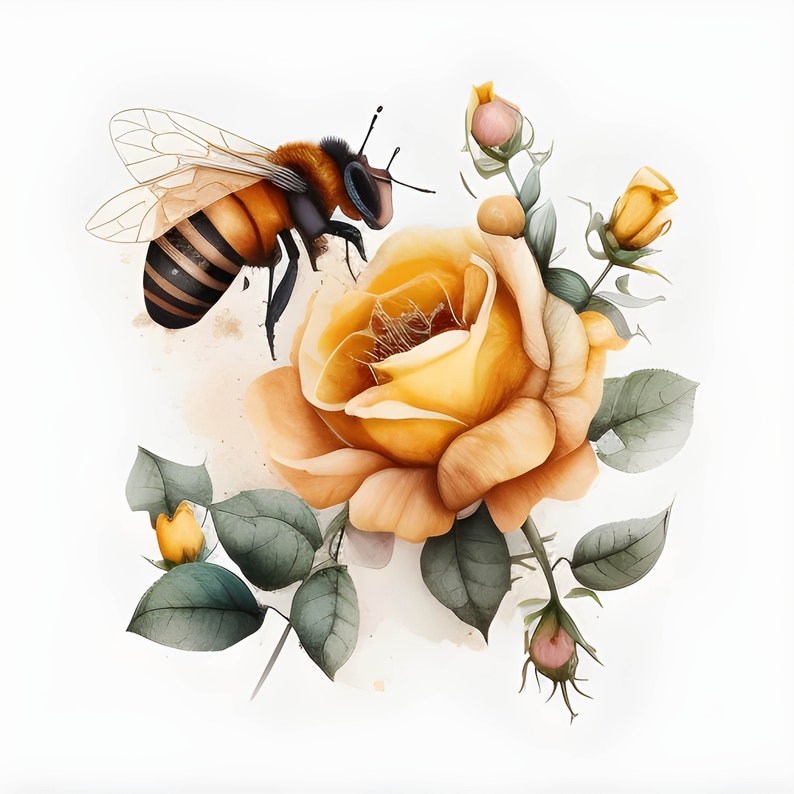 Yellow Rose & Honey Bee Watercolor Clipart Watercolor Floral - Etsy