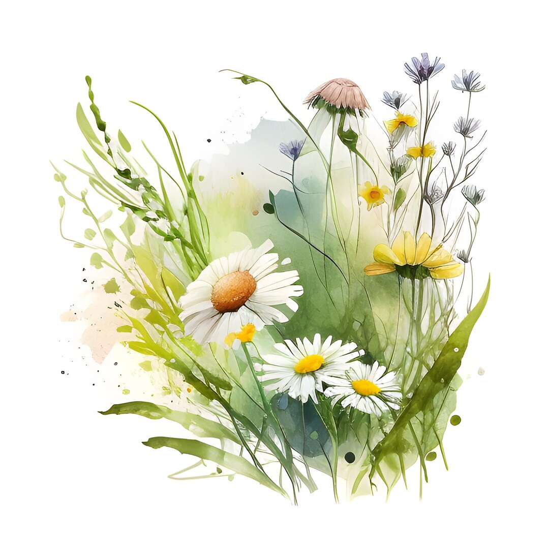 Watercolor Daisy Flowers Clipart, Floral Daisy Clipart, Daisies Bouquet ...