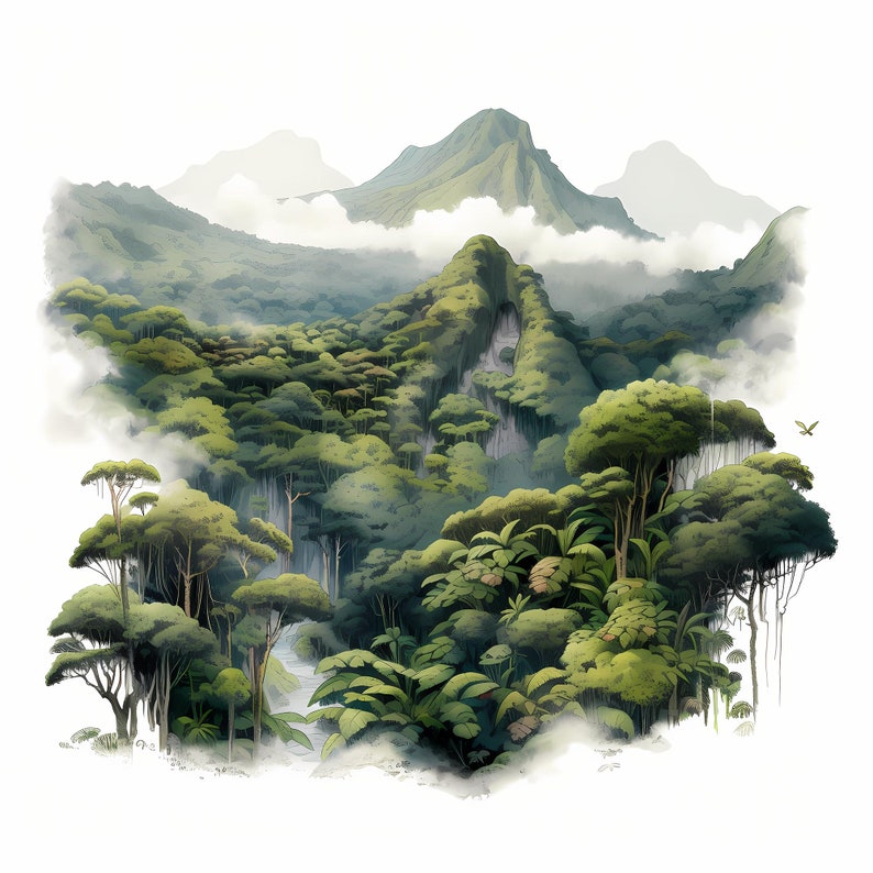 Monteverde Cloud Forest Reserve Watercolor Sketch, Monteverde Cloud ...