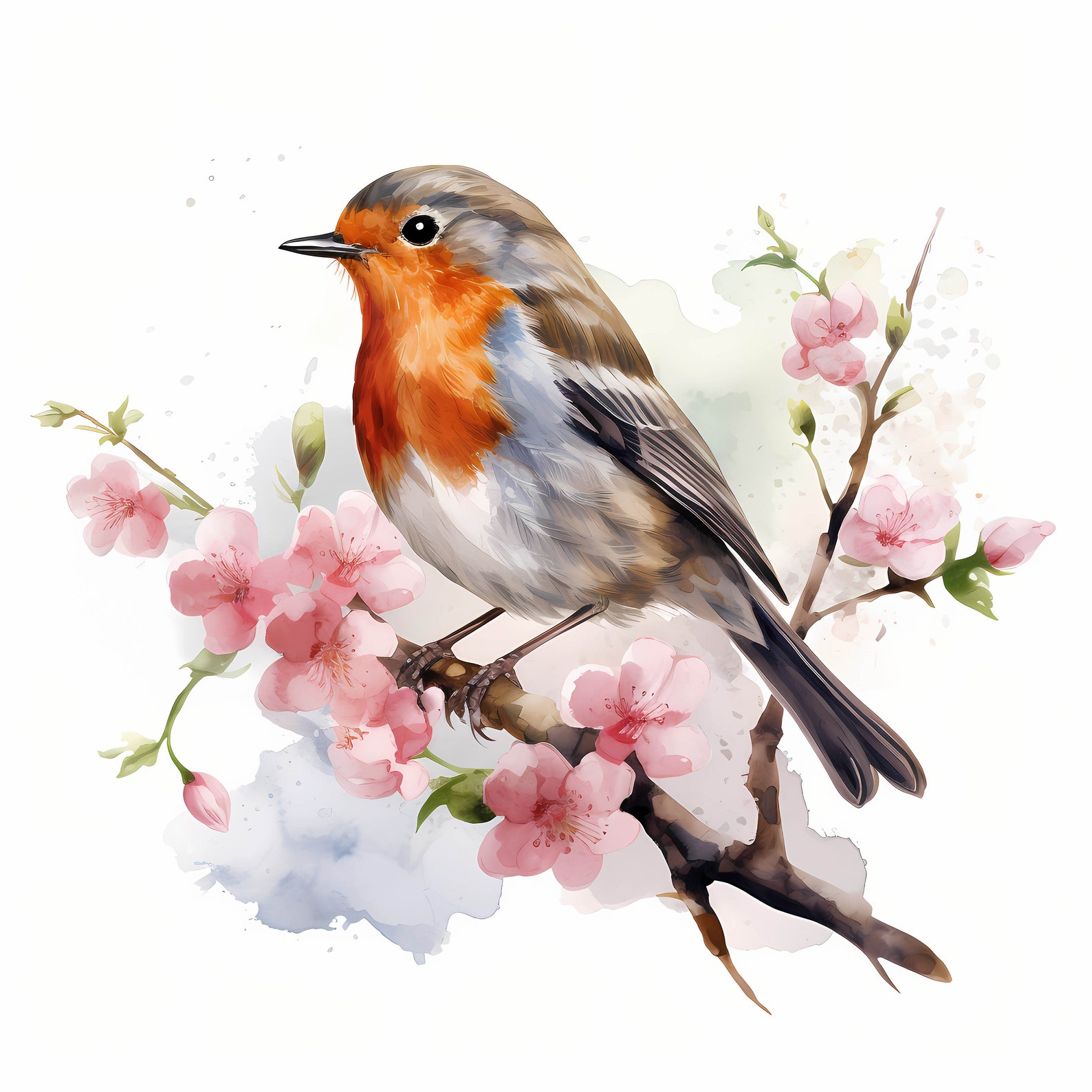 Robin Bird Watercolor Clipart Bundle, Cute Colorful Robin Bird Set ...