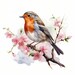 Robin Bird Watercolor Clipart Bundle, Cute Colorful Robin Bird Set ...