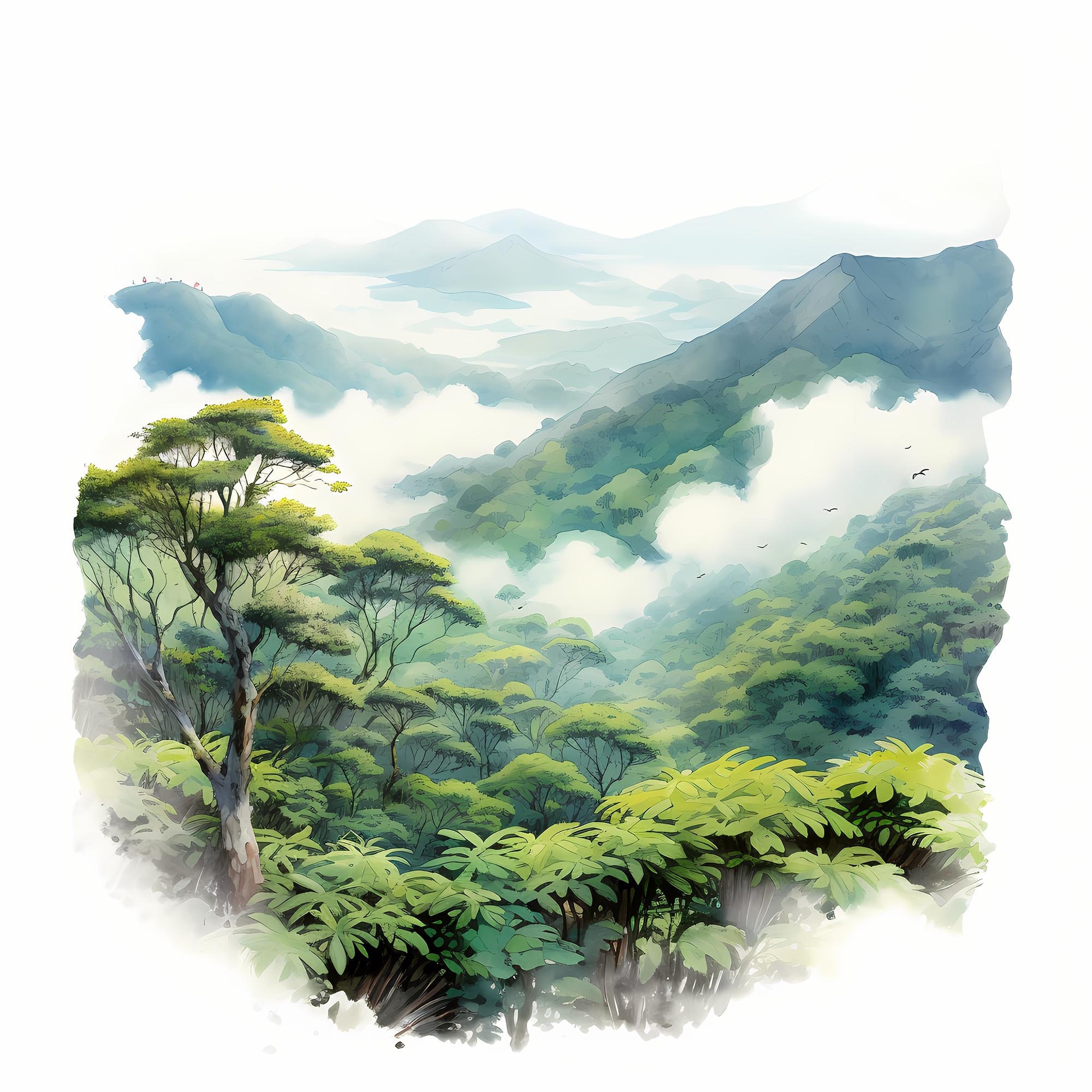 Monteverde Cloud Forest Reserve Watercolor Sketch, Monteverde Cloud ...