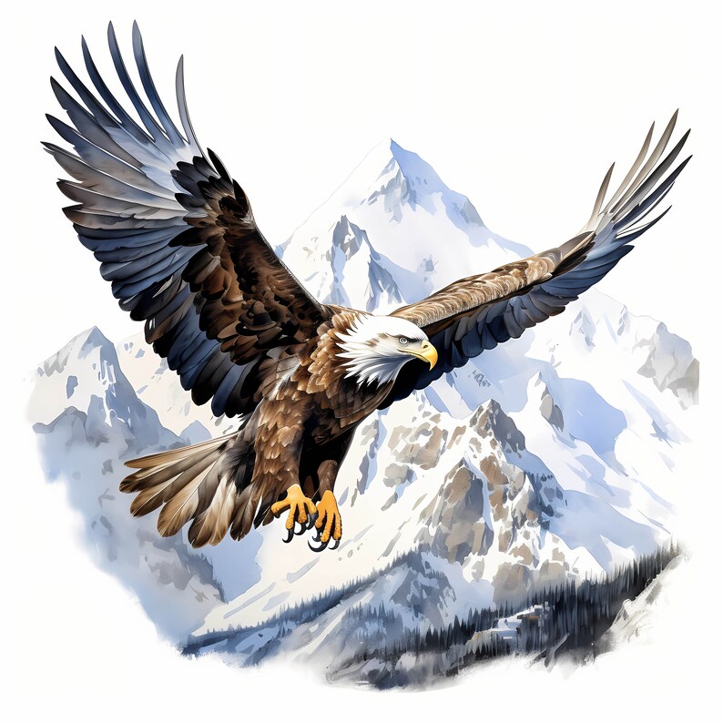 Eagle Watercolor Clipart Bundle Cute Colorful Eagle Set - Etsy