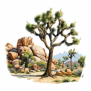 Joshua Tree National Park Watercolor Sketch Art Bundle, Joshua Tree ...