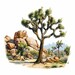 Joshua Tree National Park Watercolor Sketch Art Bundle, Joshua Tree ...