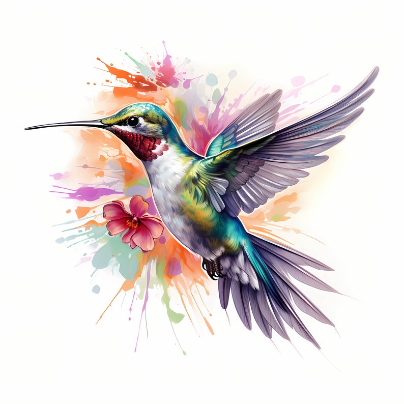 Hummingbird Watercolor Clipart Bundle, Cute Colorful Hummingbird Set ...