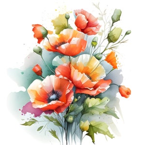 Watercolor Poppy Clipart, Watercolor Floral Set, Poppy Clipart, Orange ...