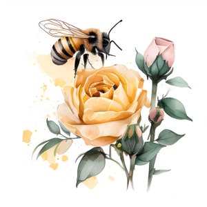 Yellow Rose & Honey Bee Watercolor Clipart, Watercolor Floral Clipart ...