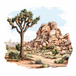Joshua Tree National Park Watercolor Sketch Art Bundle, Joshua Tree ...