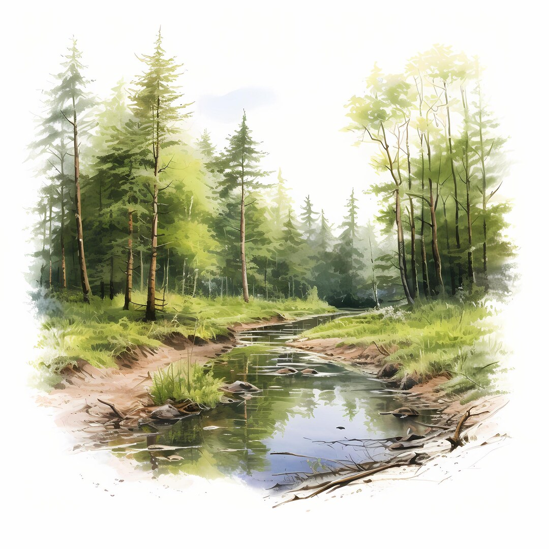 Bialowieza Forest National Park Watercolor Sketch Art Bundle ...