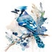 Watercolor Blue Jay Bird Clipart, Blue Jay Bird Set, Cute Colorful Bird ...