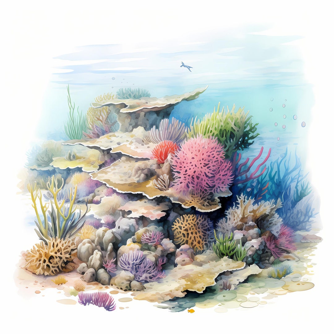 Great Barrier Reef Marine Park Watercolor Sketch Art Set, Great Barrier ...