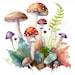 Watercolor Mushrooms Clipart, Cute Forest Nature Toadstool Clipart ...