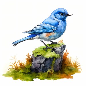 Bluebird Watercolor Clipart Bundle, Cute Colorful Bluebird Set, Nursery ...