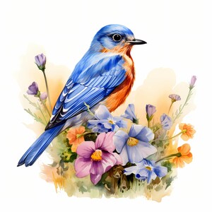 Bluebird Watercolor Clipart Bundle, Cute Colorful Bluebird Set, Nursery ...