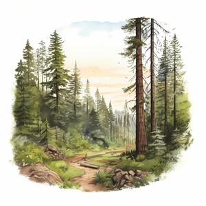 Redwood National Park Watercolor Sketch, Redwood National Park ...
