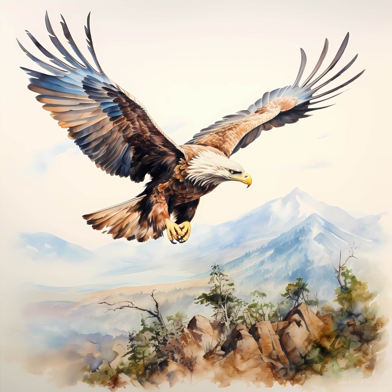 Eagle Watercolor Clipart Bundle Cute Colorful Eagle Set - Etsy