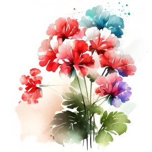 Geranium Watercolor Clipart, Watercolor Floral Clipart, Geranium Bundle ...