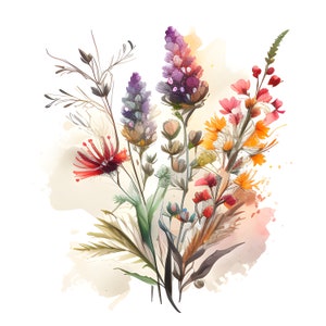 Watercolor Meadow Flowers Clipart, Spring Wildflowers Bundle, Instant ...