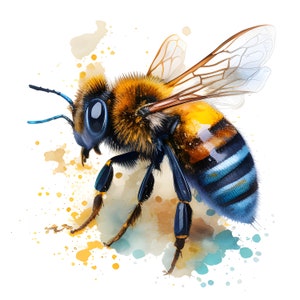 Watercolor Bumblebee Clipart, Cute Garden Honey Bee Clipart, Nursery ...