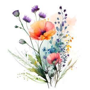 Watercolor Meadow Flowers Clipart, Spring Wildflowers Bundle, Instant ...