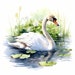 Swan Watercolor Clipart Bundle, Cute Colorful Swan Set, Nursery Decor ...