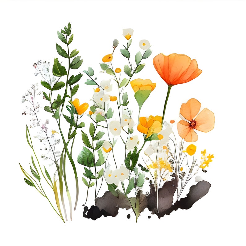 Meadow Flowers Watercolor Clipart Watercolor Floral Clipart - Etsy