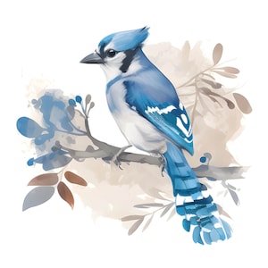 Watercolor Blue Jay Bird Clipart, Blue Jay Bird Set, Cute Colorful Bird ...