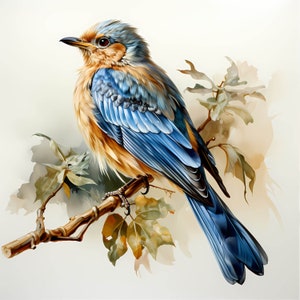 Bluebird Watercolor Clipart Bundle, Cute Colorful Bluebird Set, Nursery ...