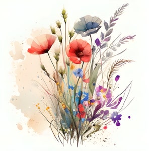 Watercolor Meadow Flowers Clipart, Spring Wildflowers Bundle, Instant ...