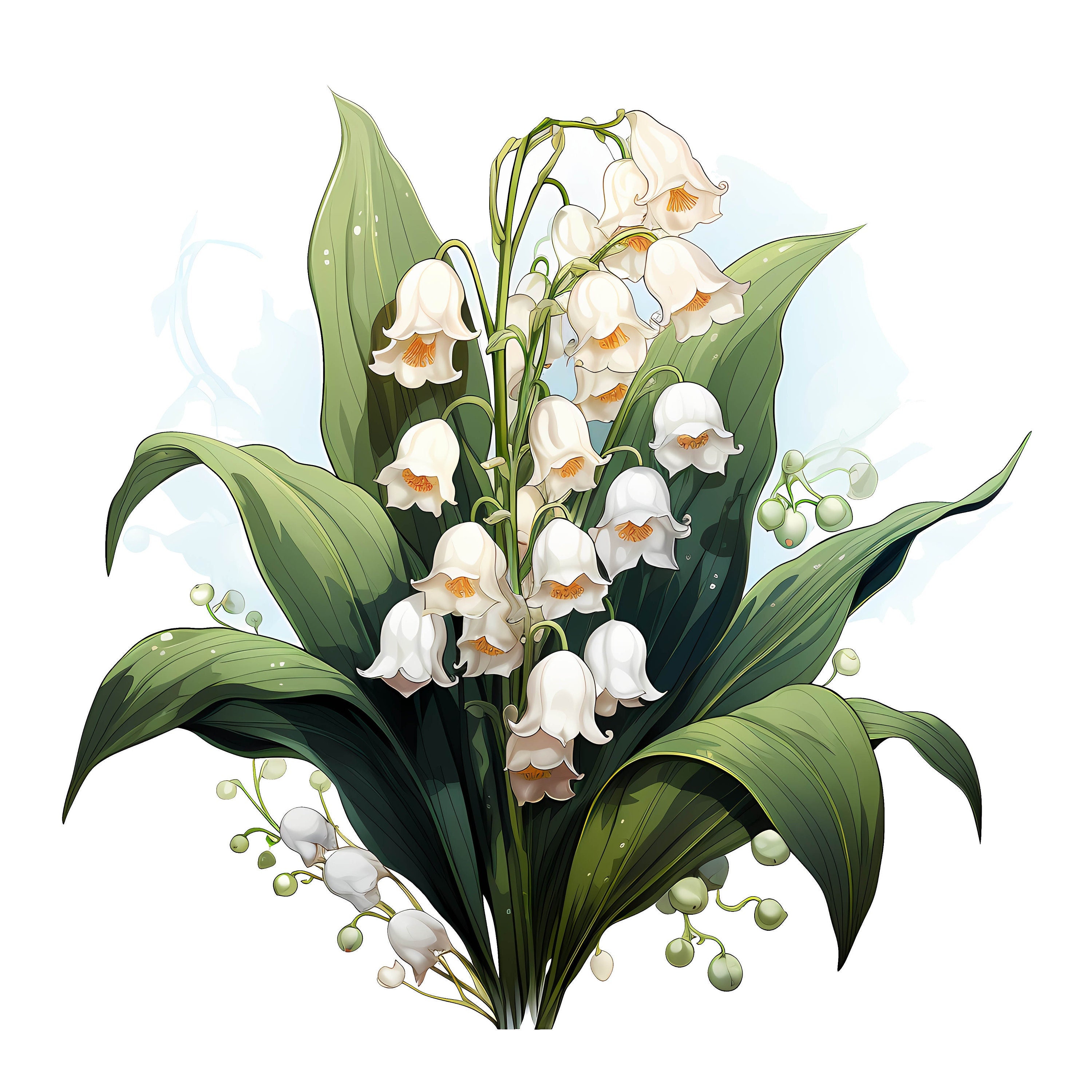Lily of the Valley Bouquet Watercolor Clipart, Floral Lily of the ...